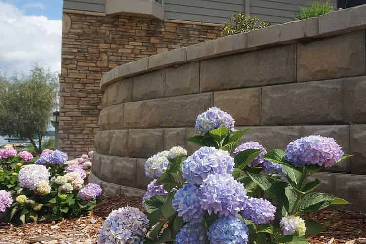 Retaining Wall Systems